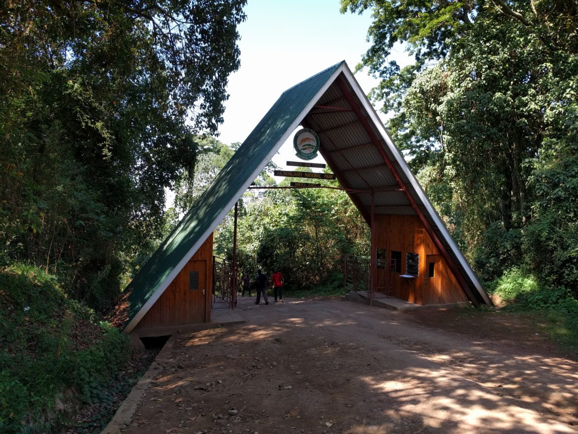 Climbing Mount Kilimanjaro Trip Report (Days 6-7)