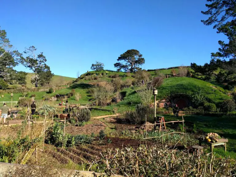 Our Amazing Visit to Hobbiton Movie Set in New Zealand