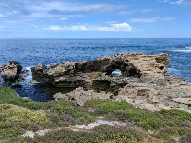 Visit Rottnest Island in Australia For An Awesome Day Trip