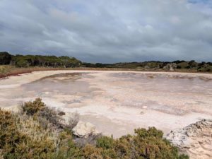 Visit Rottnest Island in Australia For An Awesome Day Trip