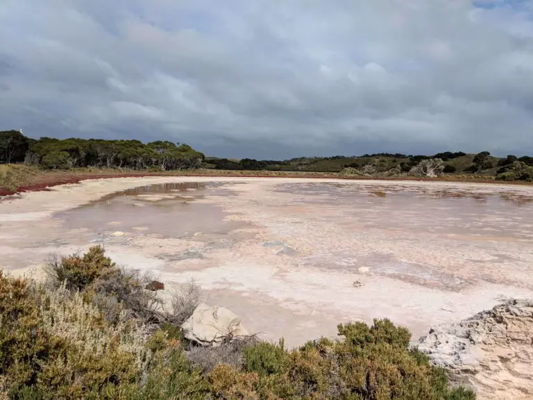 Visit Rottnest Island in Australia For An Awesome Day Trip