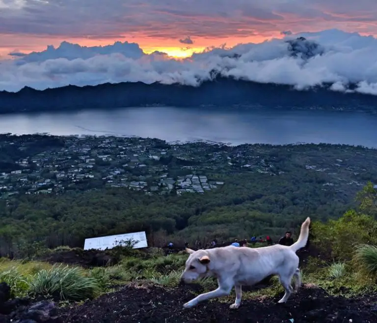 17 Incredible Reasons Why You Should Visit Bali, Indonesia
