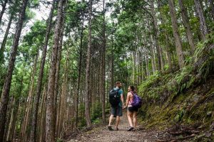 Hiking in Japan: 12 Must Visit Hikes in Japan for the Bucket List