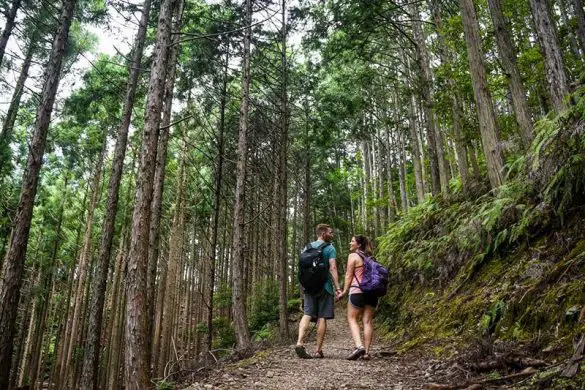 Hiking in Japan: 12 Must Visit Hikes in Japan for the Bucket List