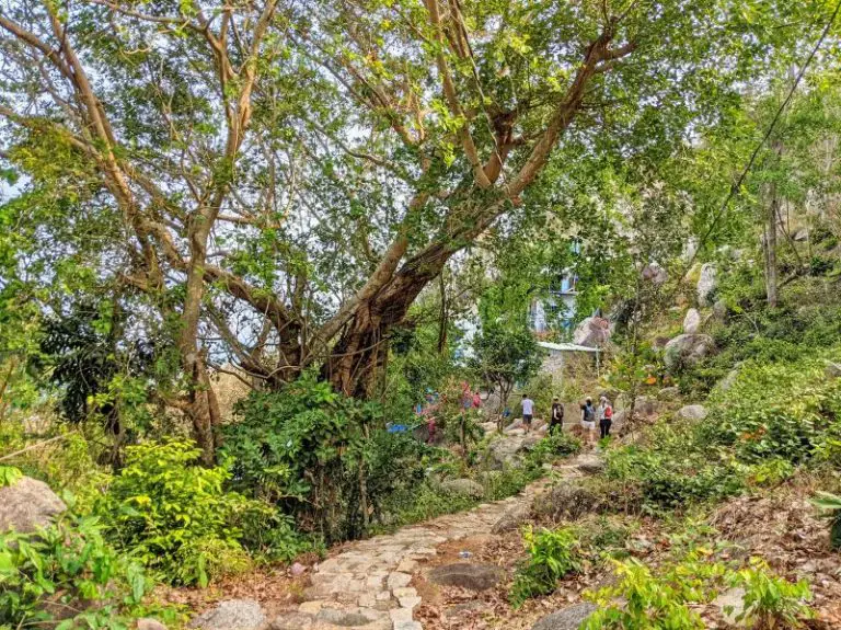Hiking Minh Dam Mountain - An Easy Day Hike Near Vung Tau, Vietnam