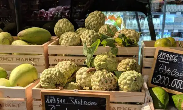 16 Unique & Tastiest Tropical Fruits in Vietnam to Try