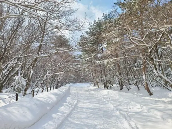 29 Awesome Destinations in Asia to Visit in Winter Season