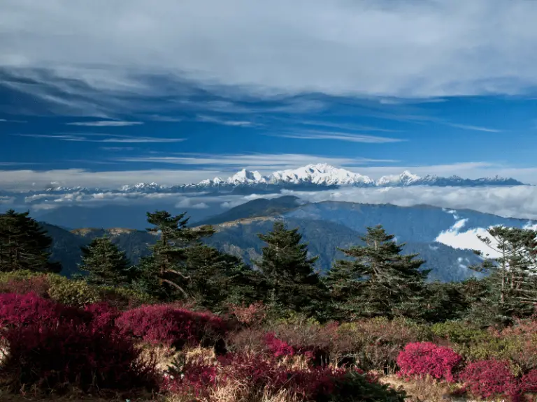 20 Incredible Destinations in Asia to Visit in Spring