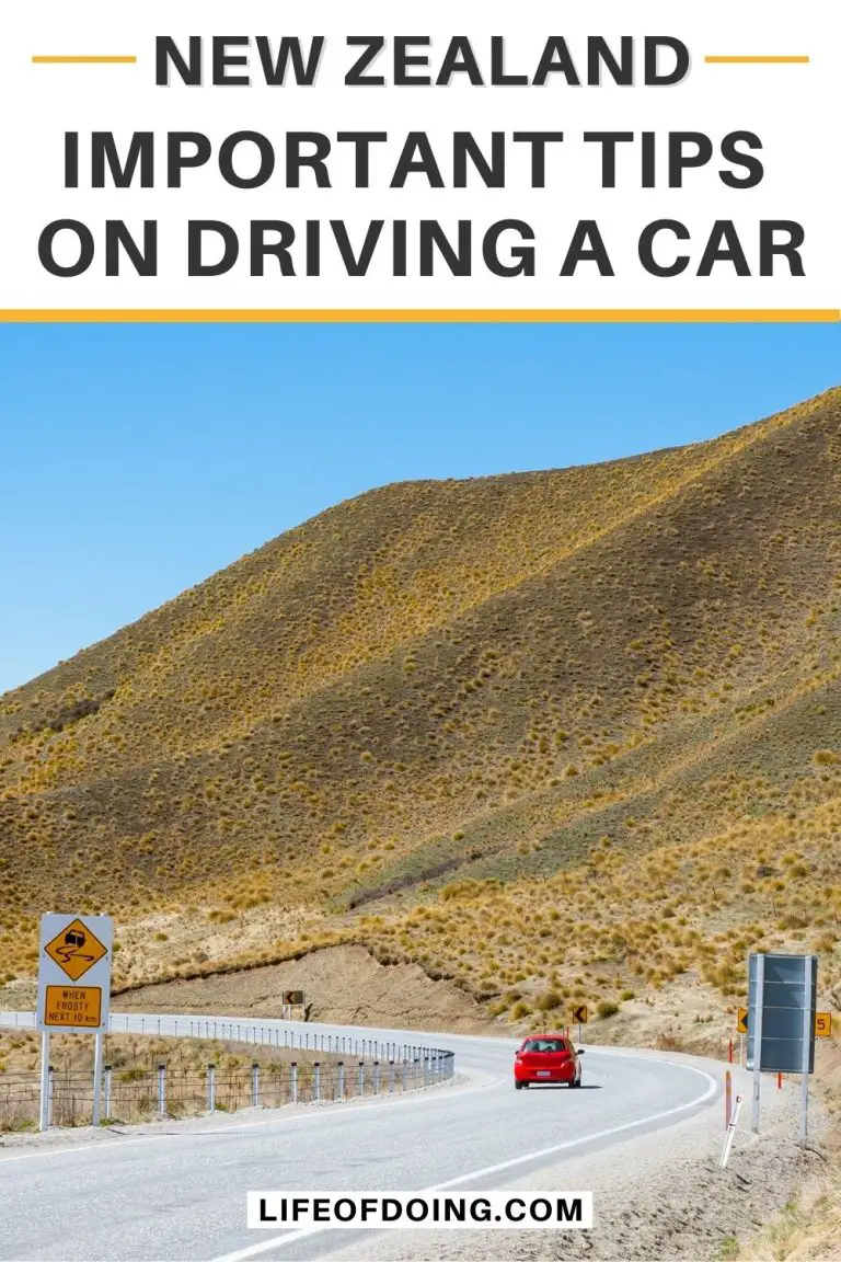 What to Know Before Driving a Car in New Zealand