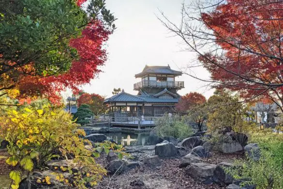 25 Fun and Unique Things to Do in Tokyo, Japan