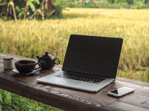 8 Amazing Cafes in Canggu, Bali: Where to Work, Relax and Unwind