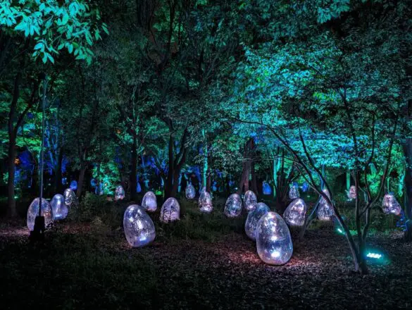 Visiting TeamLab Botanical Garden in Osaka, Japan