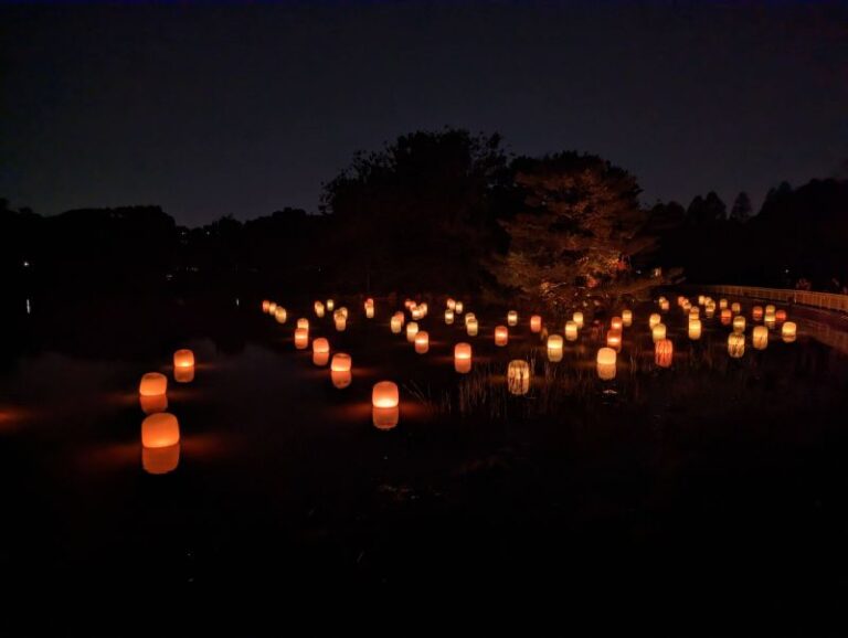 Visiting TeamLab Botanical Garden in Osaka, Japan