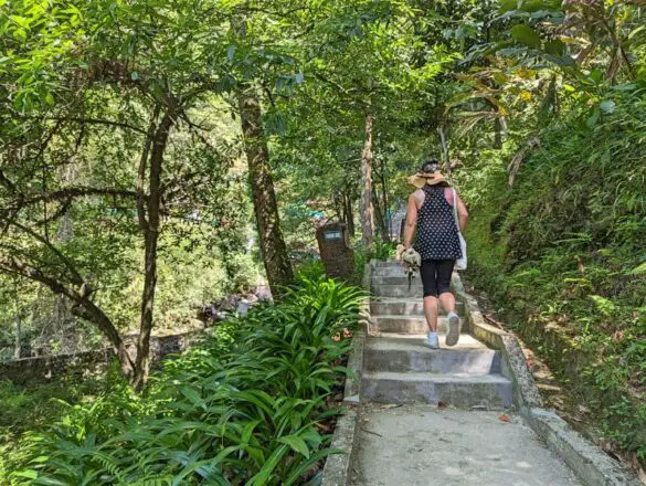 Silver Waterfall: A Gorgeous Waterfall to Visit in Sapa, Vietnam