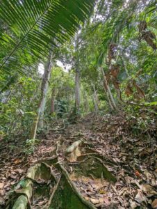 Hiking Moongate Station 5 in Penang, Malaysia