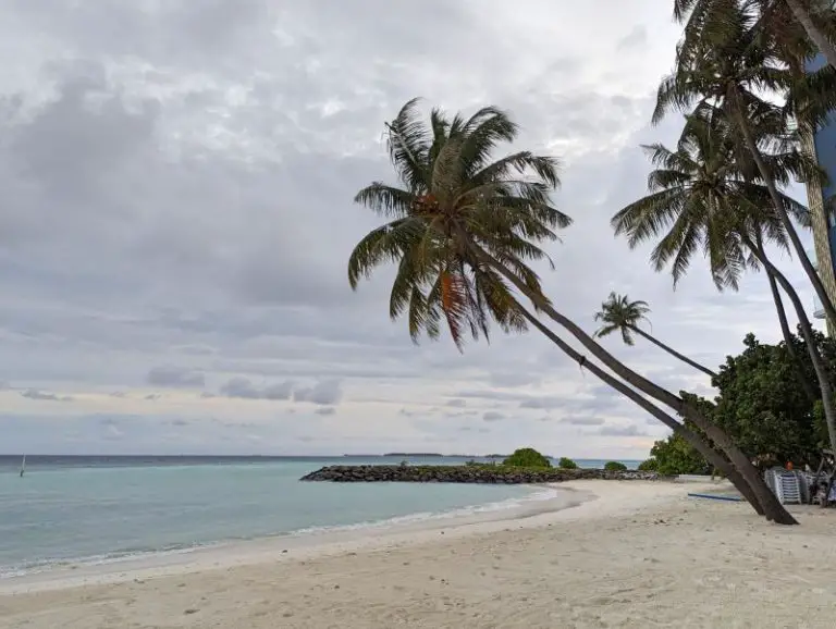 Why Maafushi Island Should Be Your Next Maldives Vacation Spot