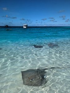 Top 7 Local Islands in the Maldives To Visit Right Now