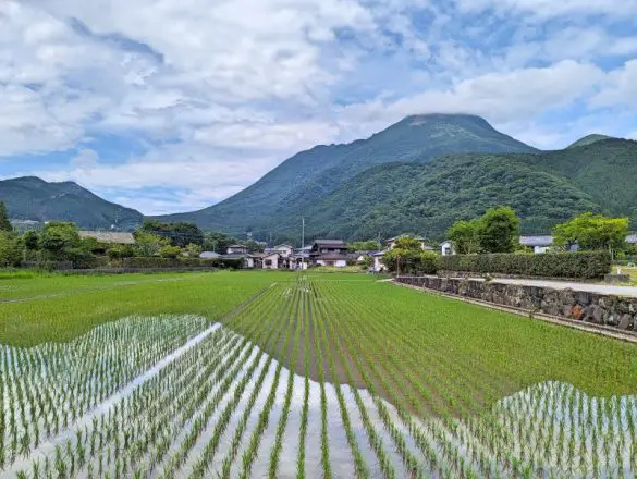 How to Spend One Day in Yufuin, Japan