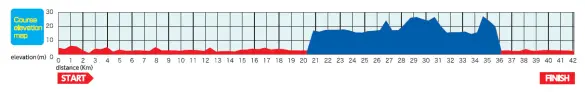 Yokohama Marathon 2024 Race Experience